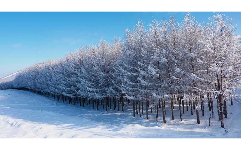 Duuren.Life - Хятад улс өвлийн аялал жуулчлалын 12 маршрут зарласны нэг ...