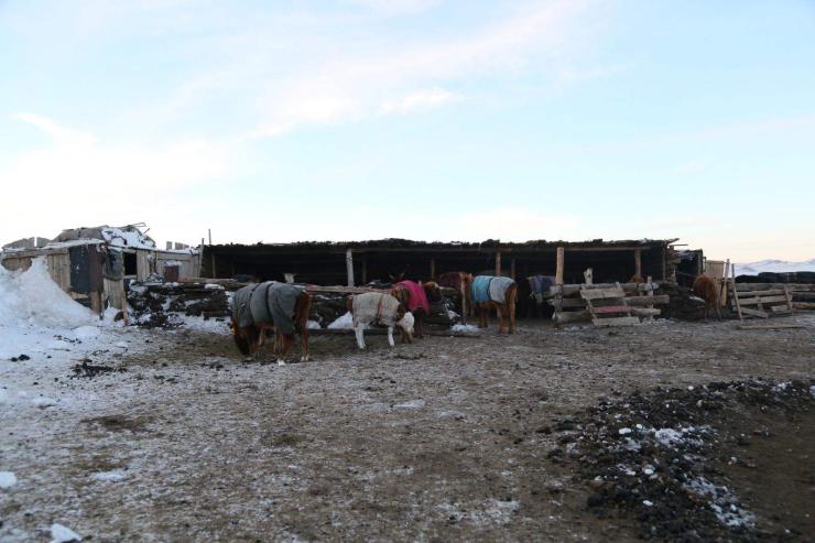 Duuren Life НҮБ Монголын малчдад туслахад 223 мянган доллар зарцуулна