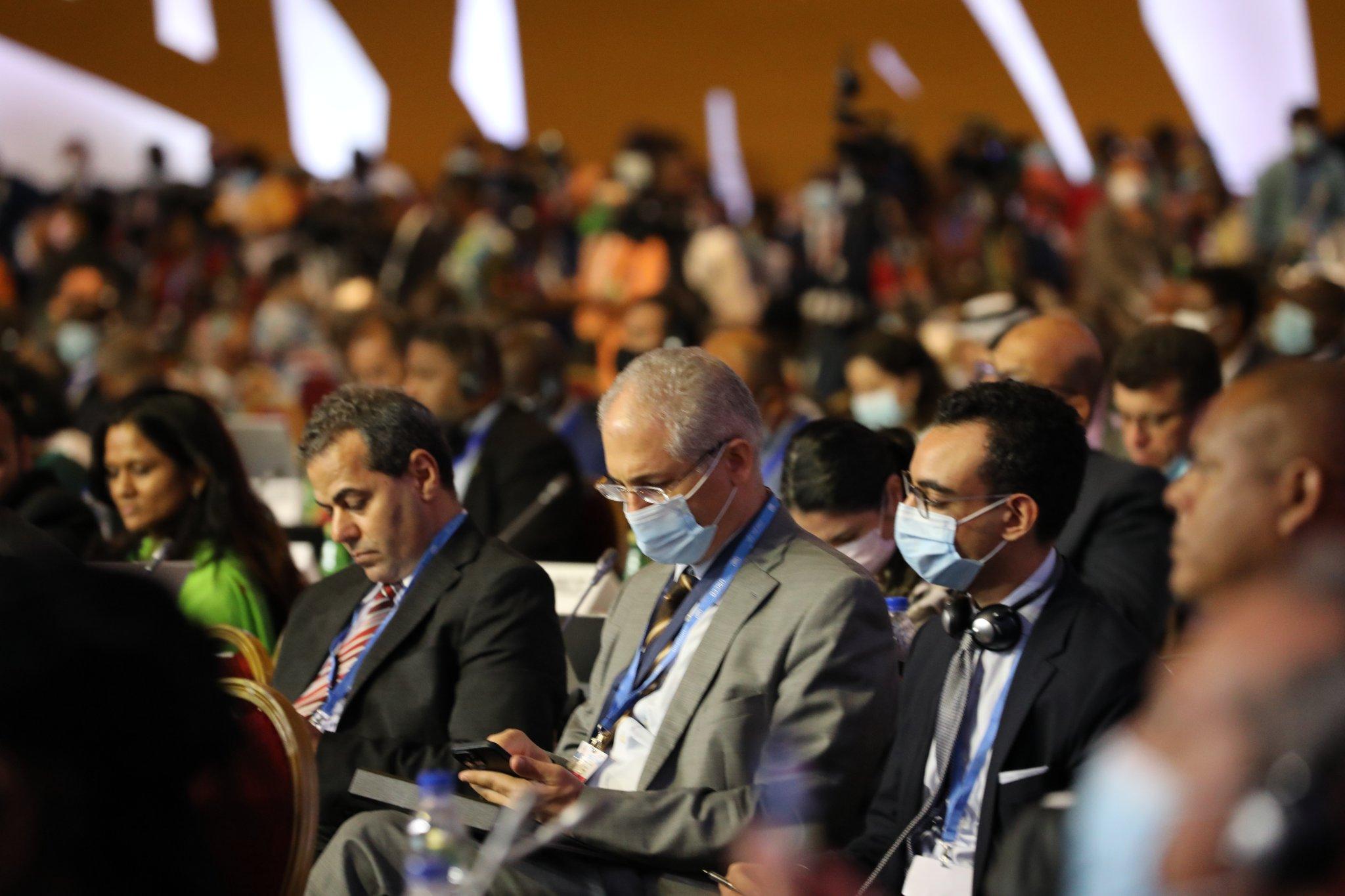 Duuren Life НҮБ ын Цөлжилтийн эсрэг бага хурлыг Монголд зохион байгуулахыг дэмжив